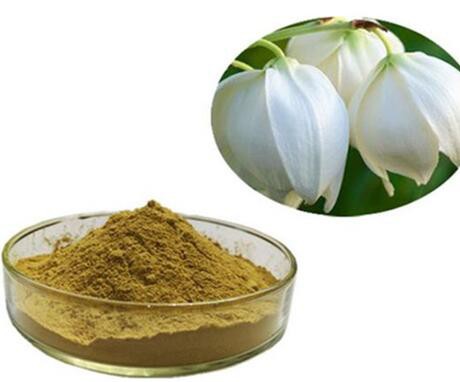 Yucca Powder - GREEN AGRI